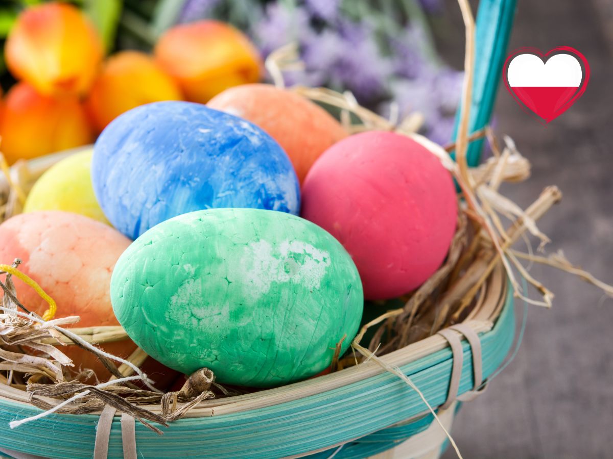 Best Polish TV Series on Netflix: Top Dramas & Thrillers - Polish Observer