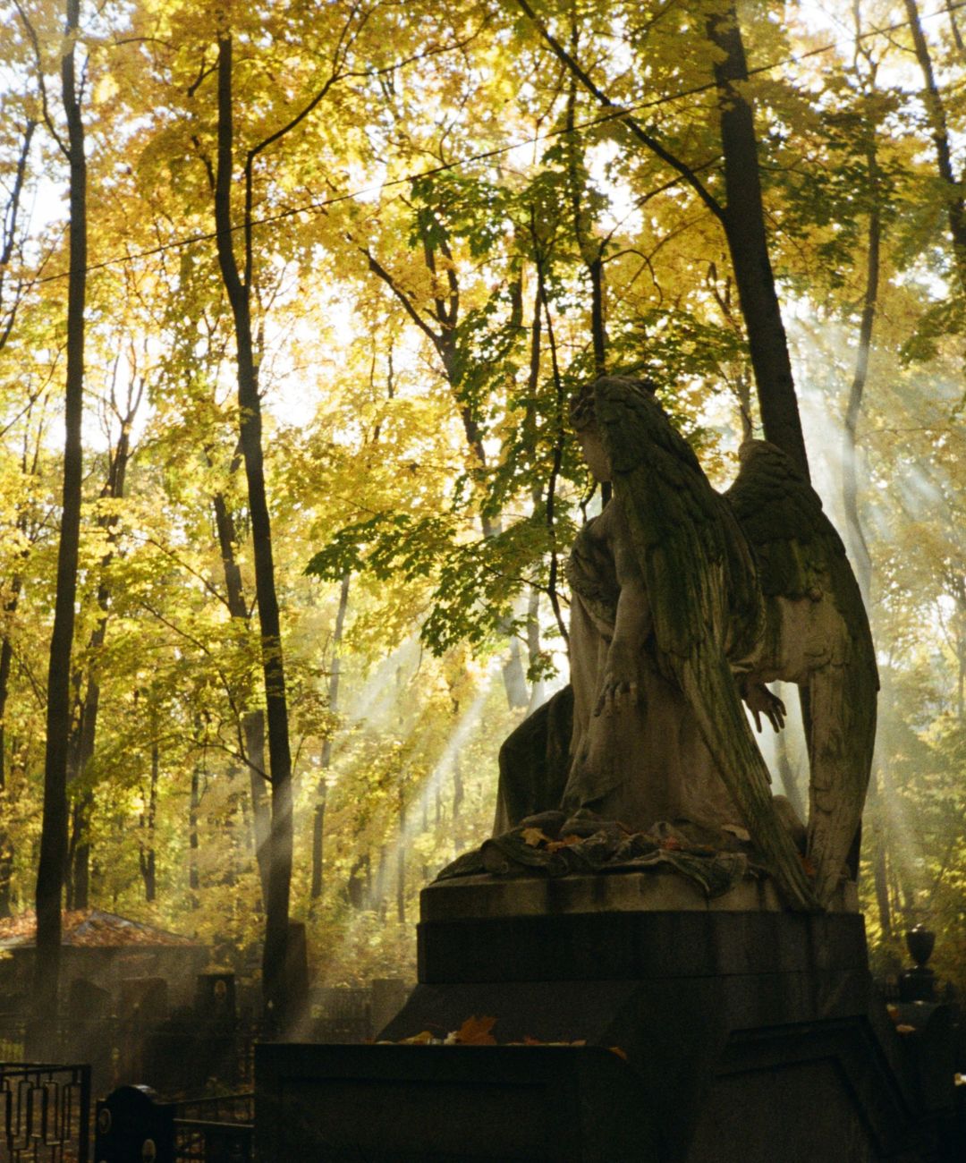 1 listopada w Europie. Jak jest obchodzony w różnych krajach?